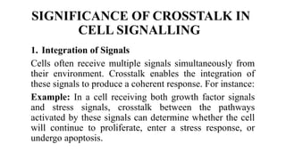 CROSSTALK CONCEPT IN CELLULAR SIGNALING.pptx | Endocrine and Metabolic ...