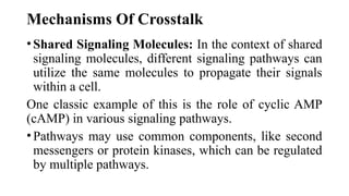 CROSSTALK CONCEPT IN CELLULAR SIGNALING.pptx | Endocrine and Metabolic ...