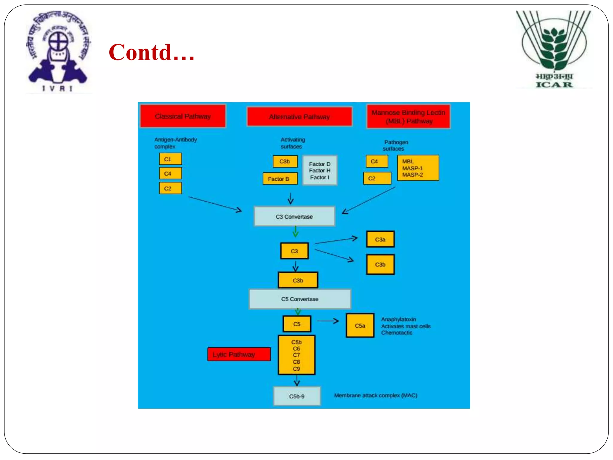 Crosstalk of complement | PPTX