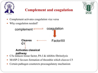 Crosstalk of complement | PPTX