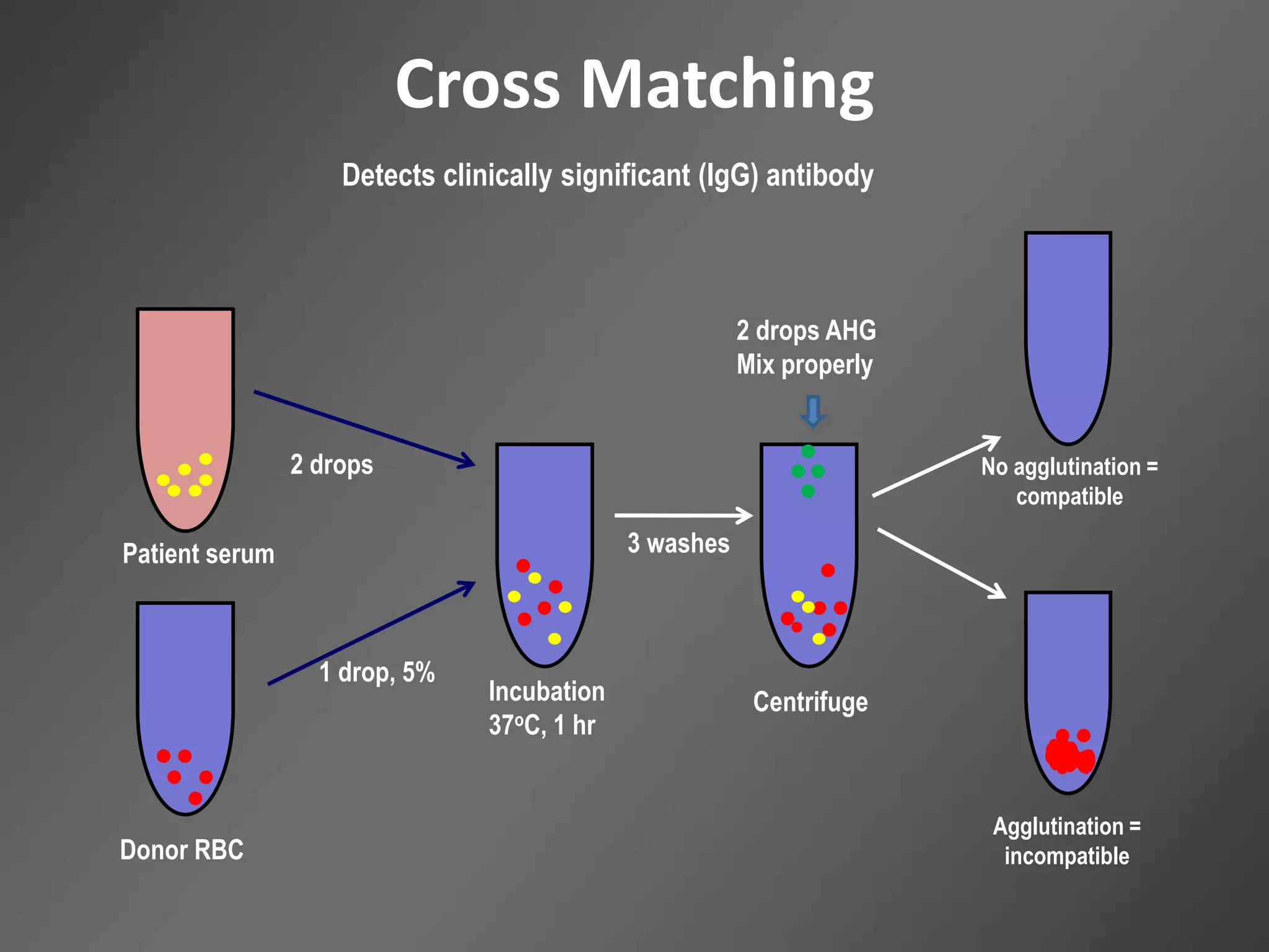 Cross transfusion and compatibility | PPTX