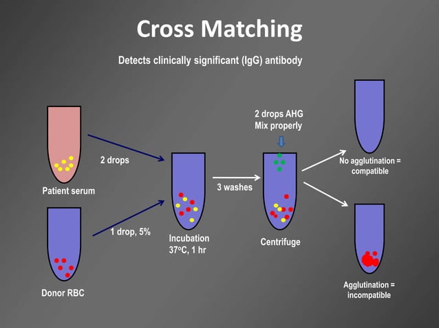 Cross transfusion and compatibility | PPT
