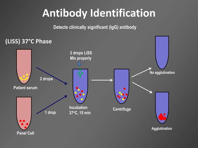 Cross transfusion and compatibility | PPT