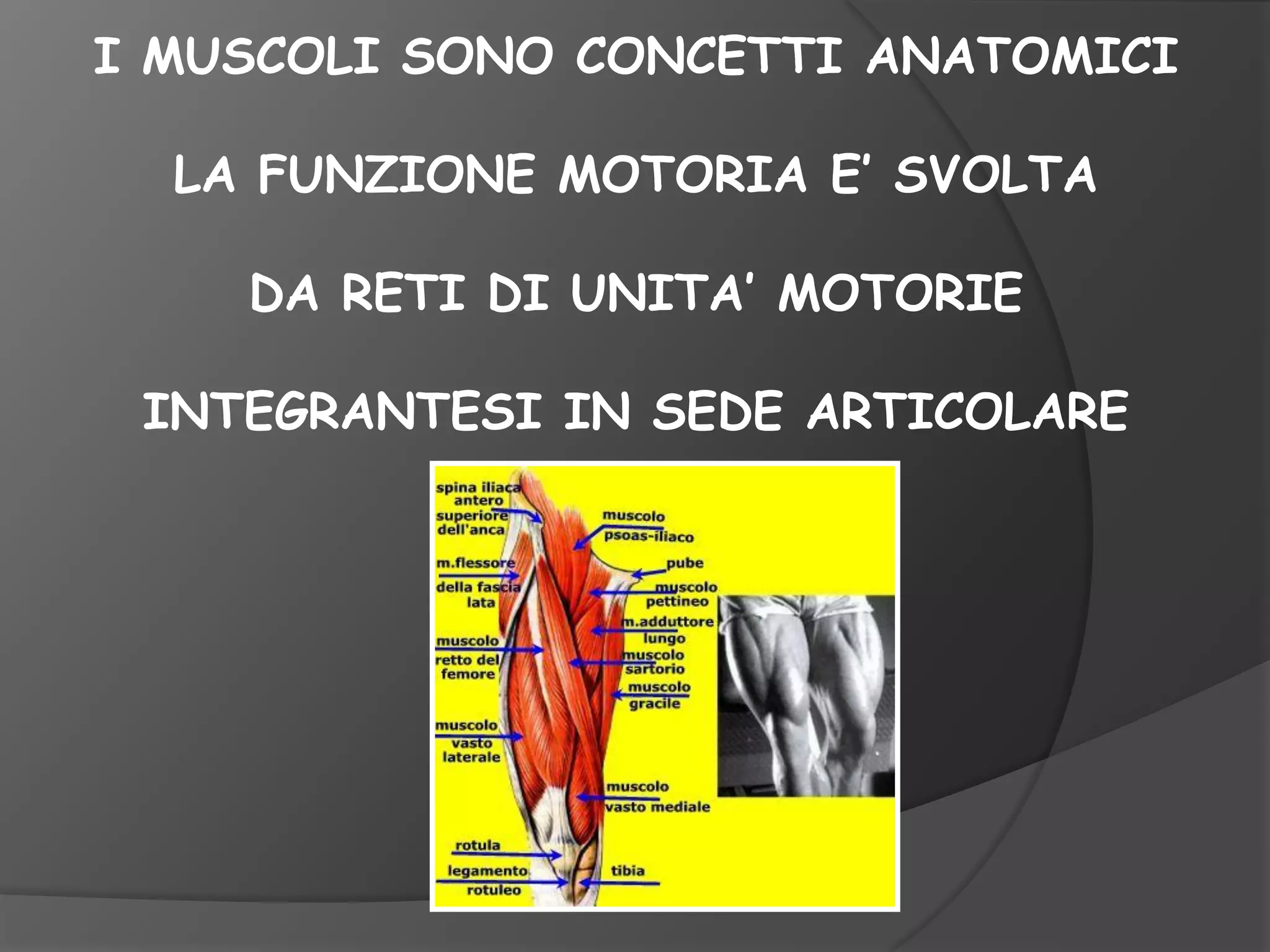 Crosystem sistema nervoso e prestazione motoria | PDF