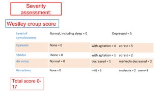 Croup Score