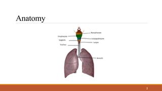 Croup and Bronchiolitis managment, diagnoisis.pptx