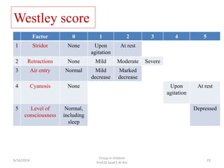 Croup Score