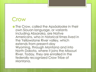 Crow | PPT
