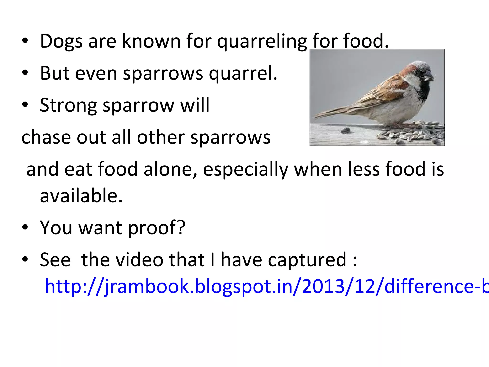 Crow and sparrow | PPT
