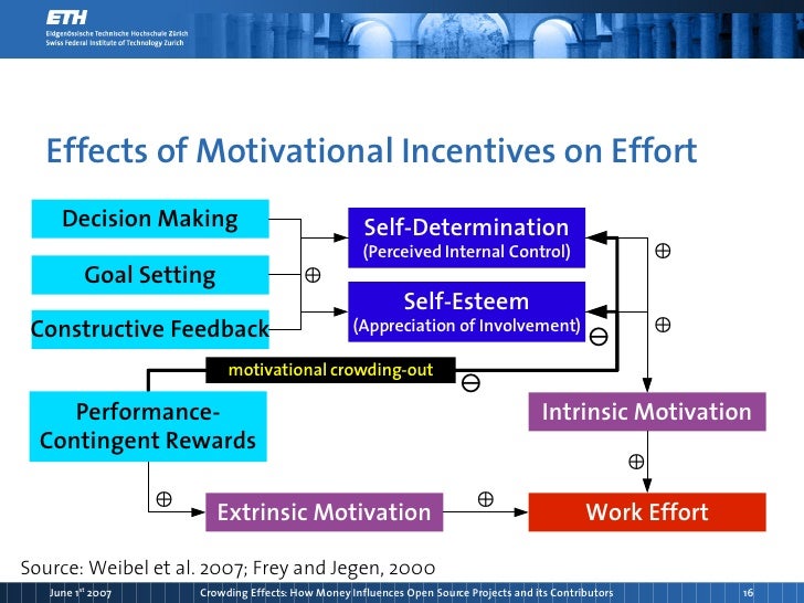 Effects of Motivational Incentives on