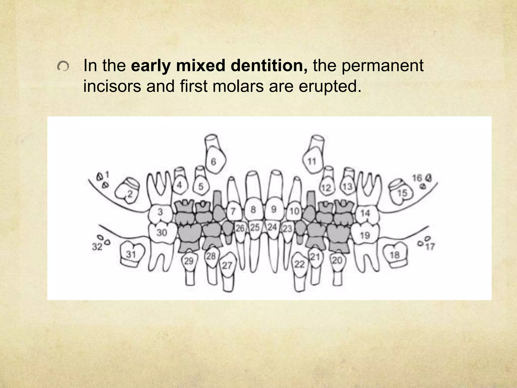 Crowding in mixed dentition.ppt.pptx