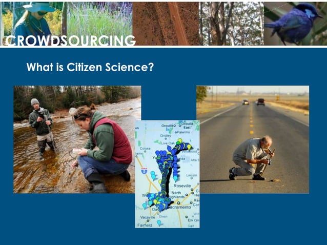 WASSIC Crowdsourcing | PPTX