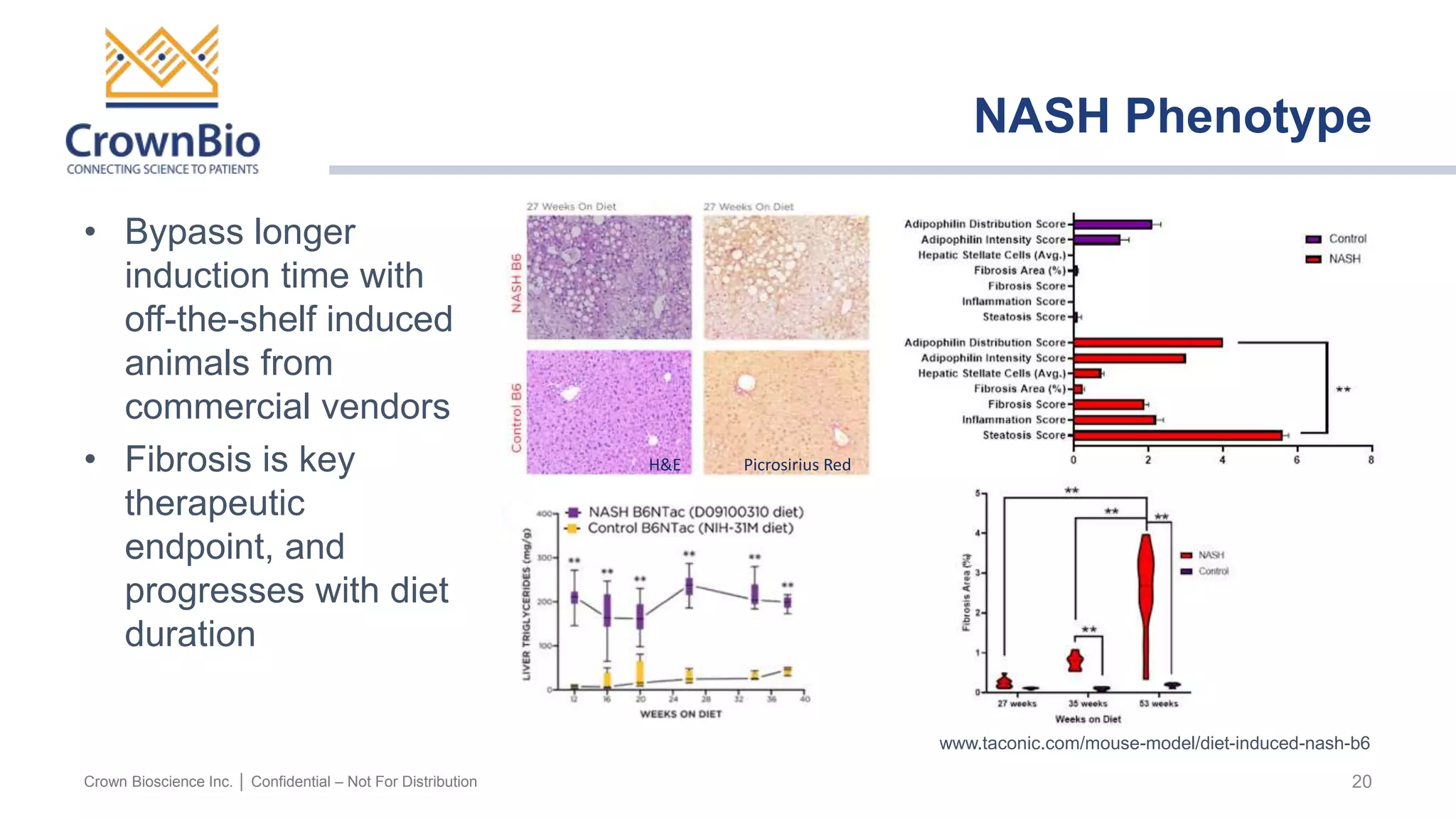 Animal Model Selection, Study Design and Current Trends in Preclinical ...