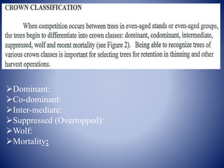 Crown classification | PPTX