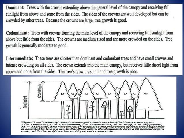 Crown classification | PPTX