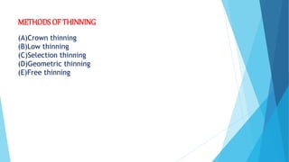 crown classification. teksingh chandravanshi | PPTX