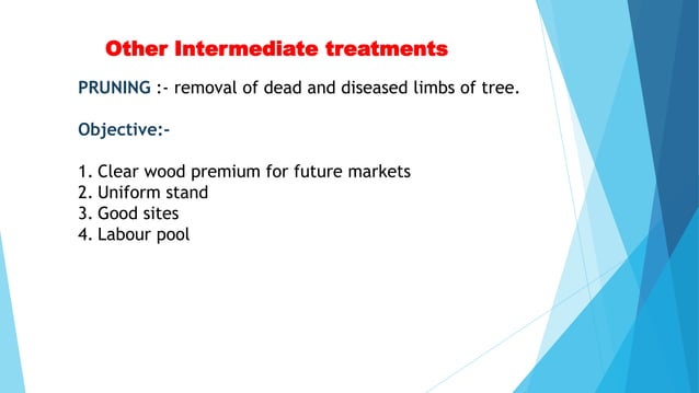 crown classification. teksingh chandravanshi | PPTX | Woodworking ...