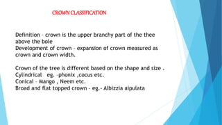 crown classification. teksingh chandravanshi | PPTX