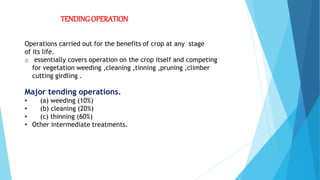 crown classification. teksingh chandravanshi | PPTX