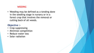 crown classification. teksingh chandravanshi | PPTX