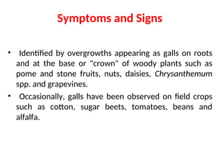 Crown Gall disease, mechanisms, cellular cross talk and management | PPT