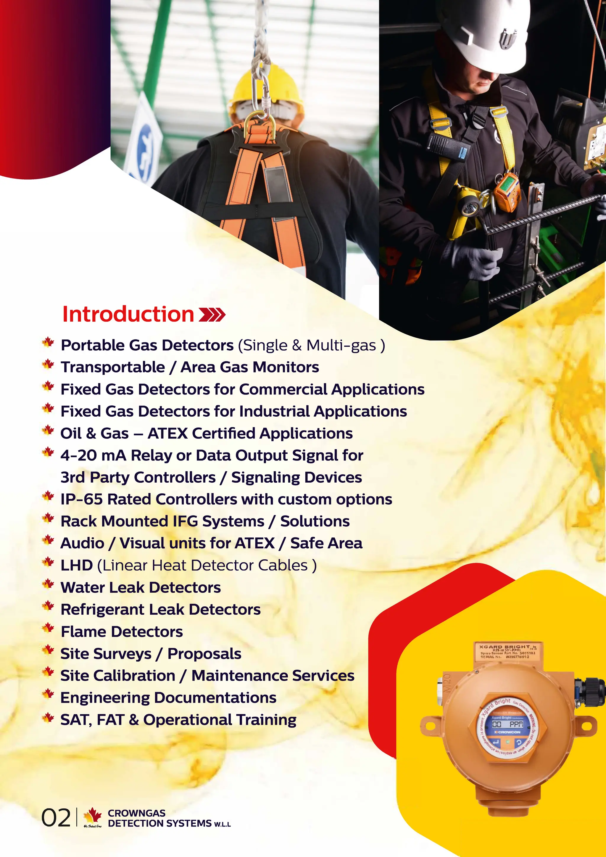Crowngas Detection System Doha Qatar Profile.pdf
