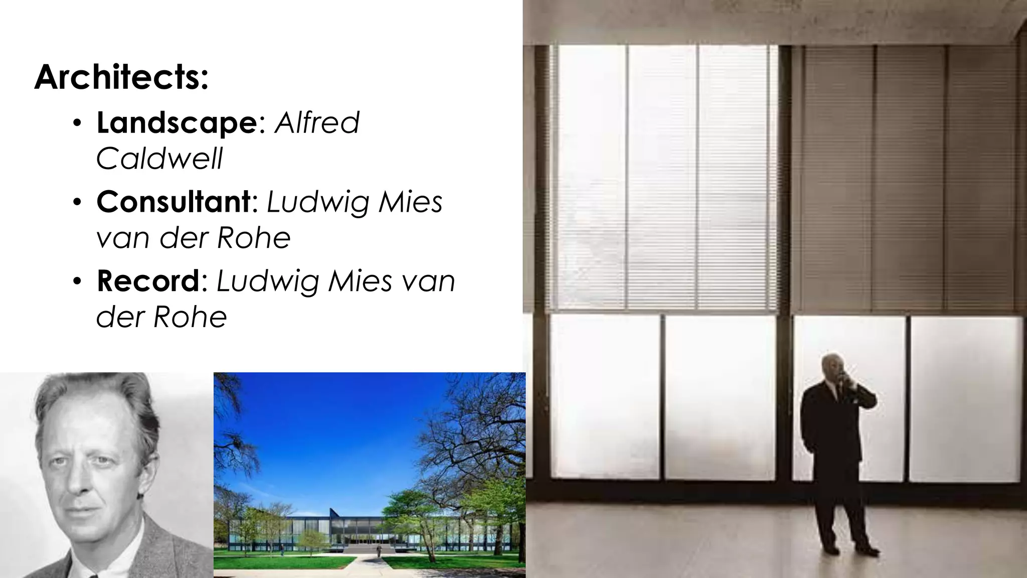Ludwig Mies Van Der Rohe Education