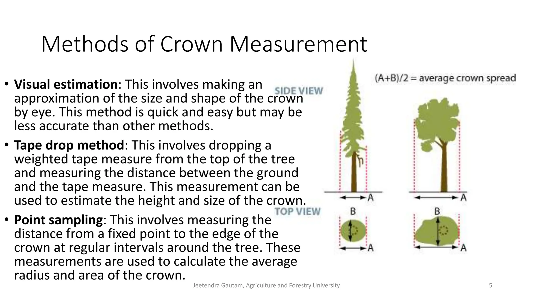 Crown Measurement and Leaf Area Index.pptx
