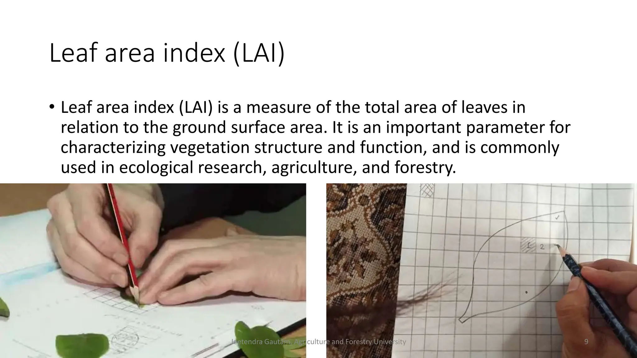 Crown Measurement and Leaf Area Index.pptx