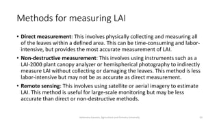 Crown Measurement and Leaf Area Index.pptx