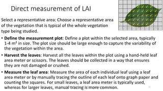 Crown Measurement and Leaf Area Index.pptx