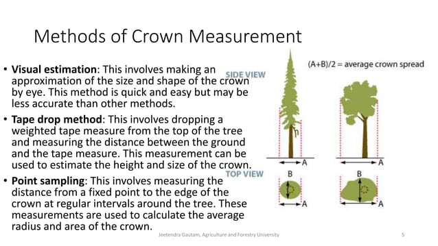 Crown Measurement and Leaf Area Index.pptx | Woodworking | Arts and Crafts