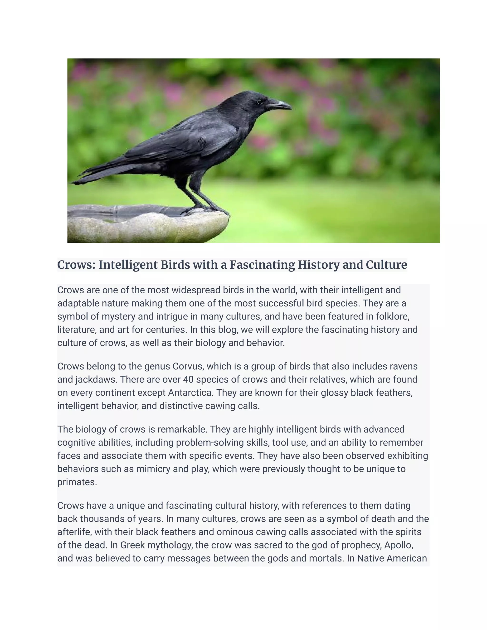 Crows_ Intelligent Birds with a Fascinating History and Culture.pdf