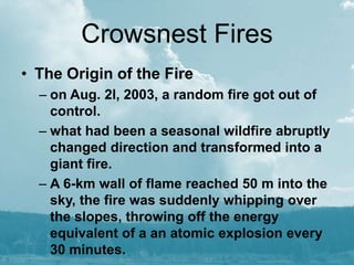 Crowsnest Fire | PPT