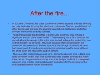 Crowsnest Fire | PPT