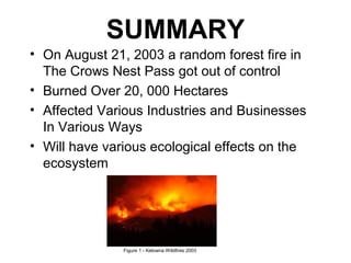Crowsnest Pass Fires 2003 | PPT
