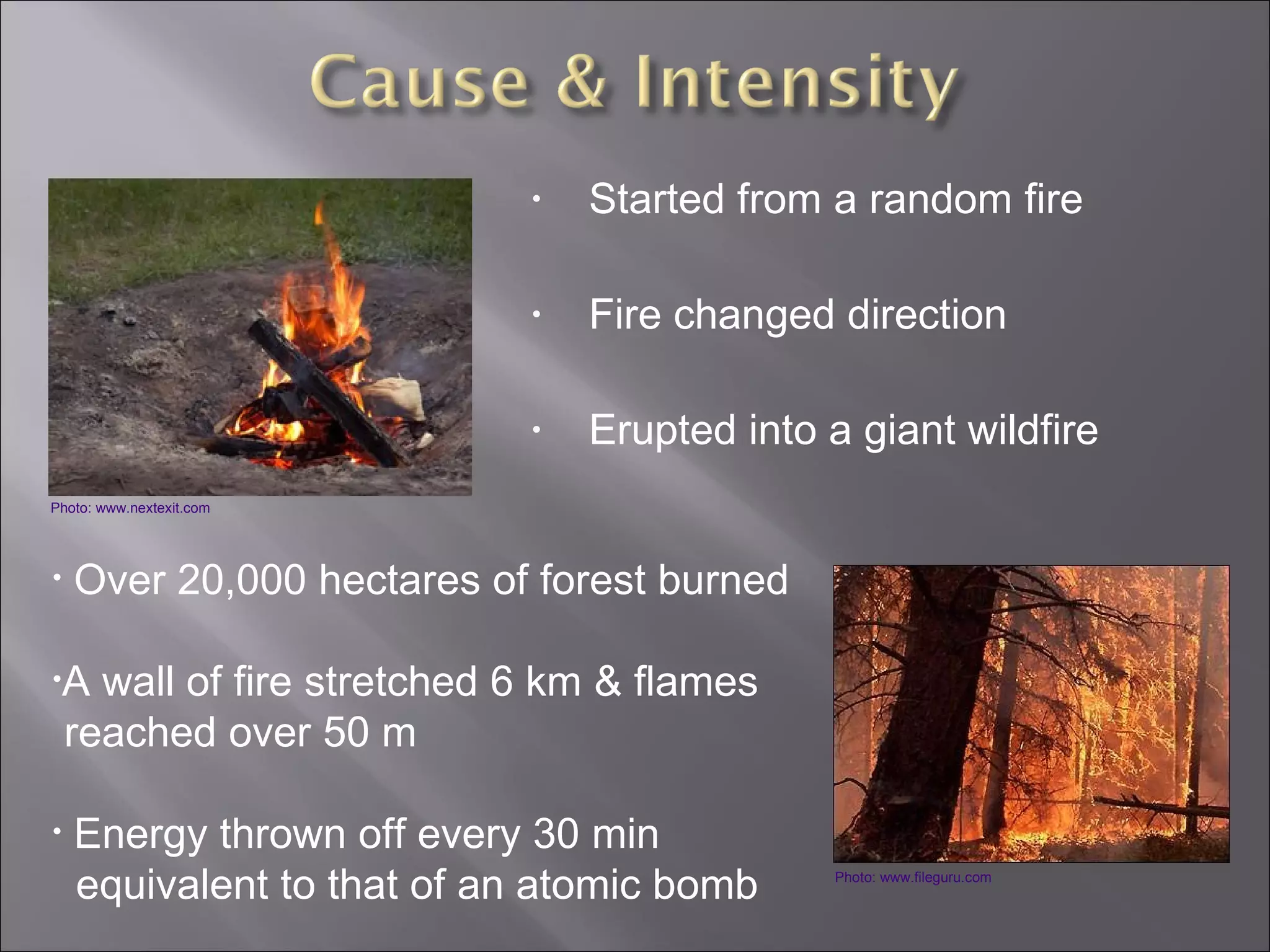 Crowsnest Fire Slideshow | PPT