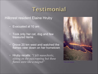 Crowsnest Fire Slideshow | PPT | Disasters