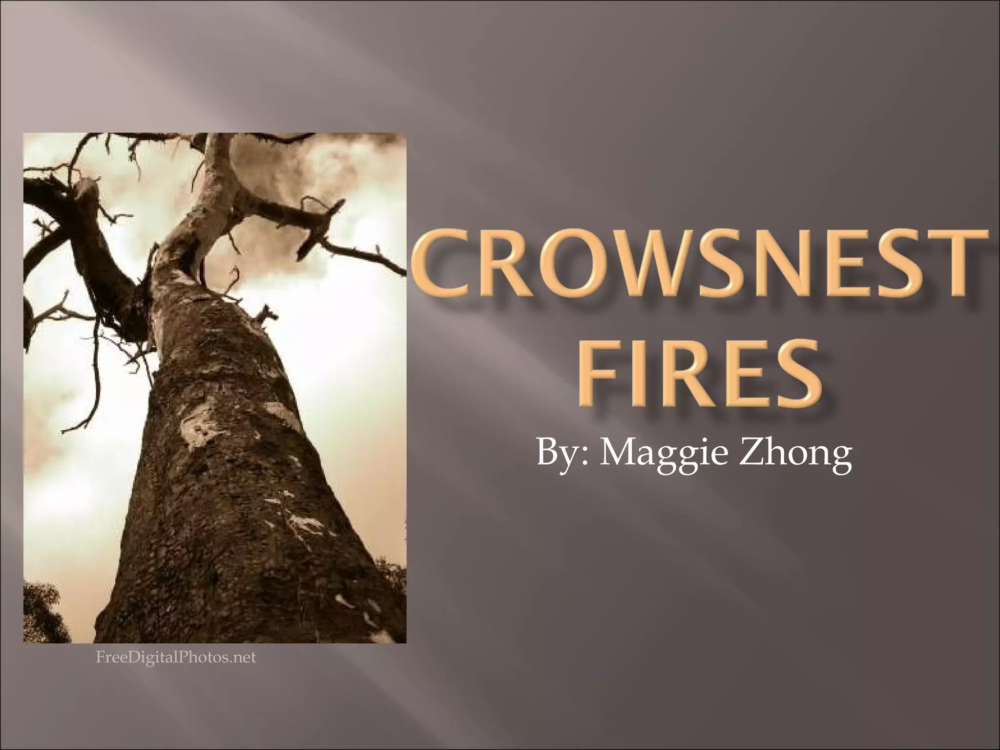 Crowsnest Fires | PPT