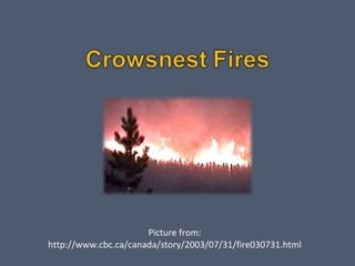 Crowsnest Fire | PPT