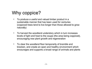 BTCV Croydon coppicing | PPT