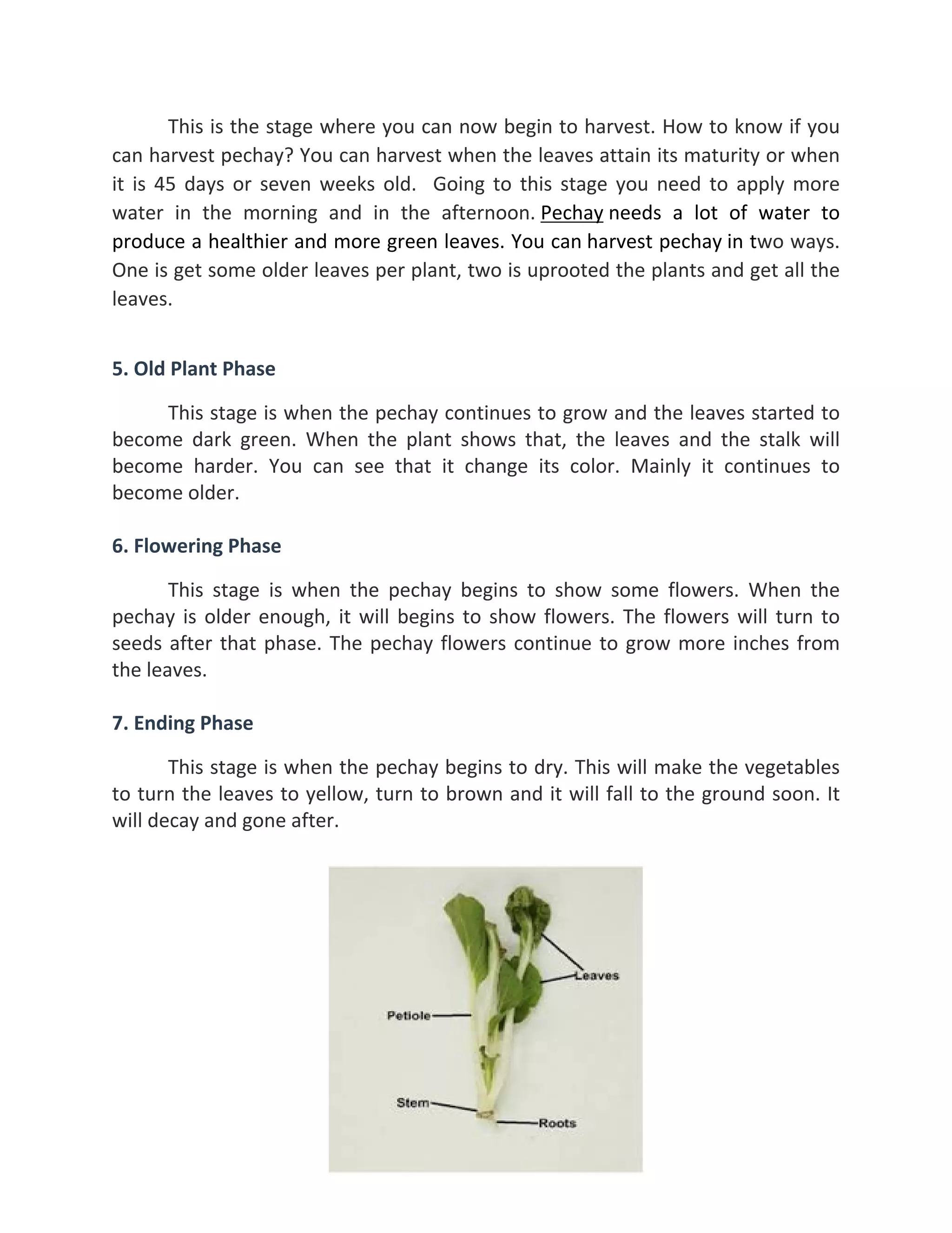 CRP002 - AESA BASED GUIDE TO PECHAY PRODUCTION.pdf