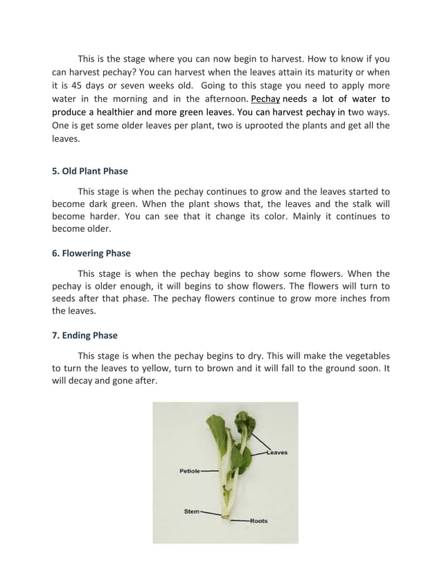CRP002 - AESA BASED GUIDE TO PECHAY PRODUCTION.pdf
