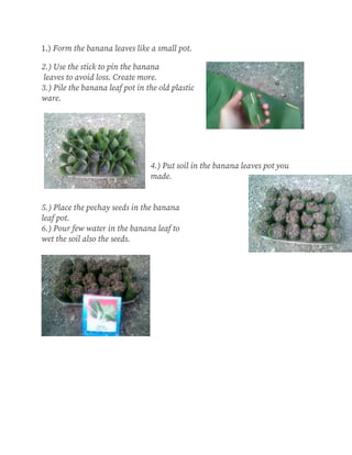 CRP002 - AESA BASED GUIDE TO PECHAY PRODUCTION.pdf