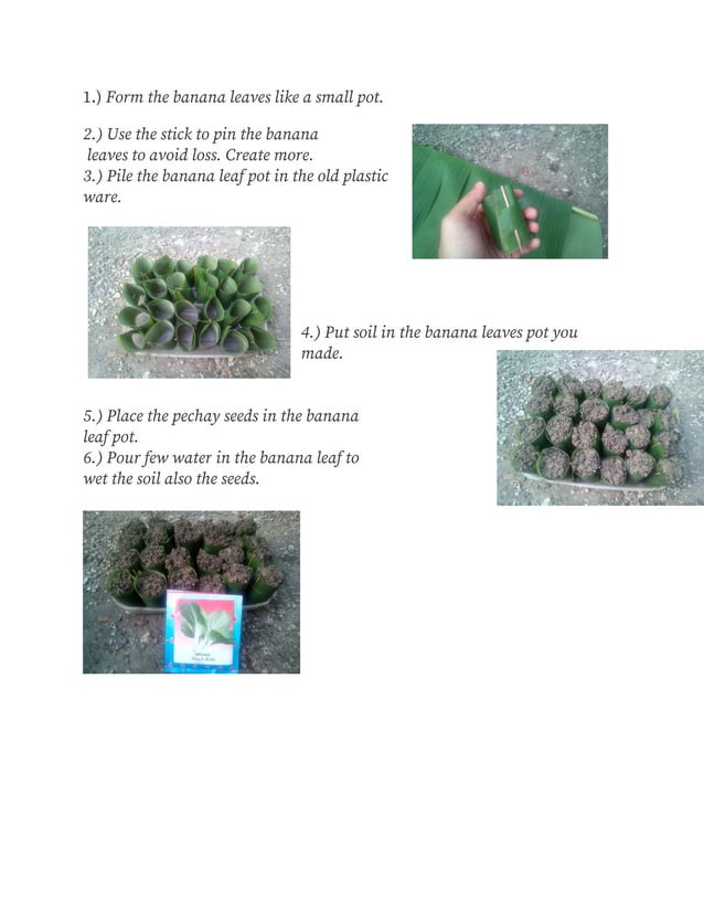 CRP002 - AESA BASED GUIDE TO PECHAY PRODUCTION.pdf