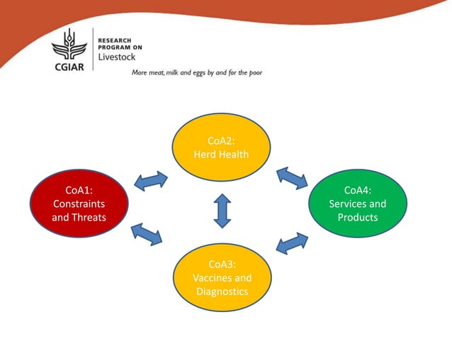 Livestock Health Flagship: Initial ideas for Integrated Core Project | PPT
