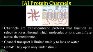 CRPS 1201 Lecture Theory08 Transport.pptx