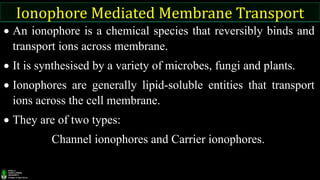 CRPS 1201 Lecture Theory08 Transport.pptx