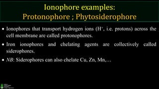 CRPS 1201 Lecture Theory08 Transport.pptx