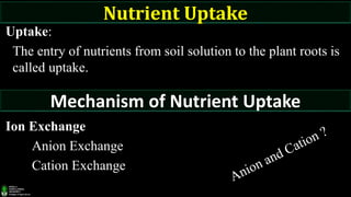 CRPS 1201 Lecture Theory08 Transport.pptx